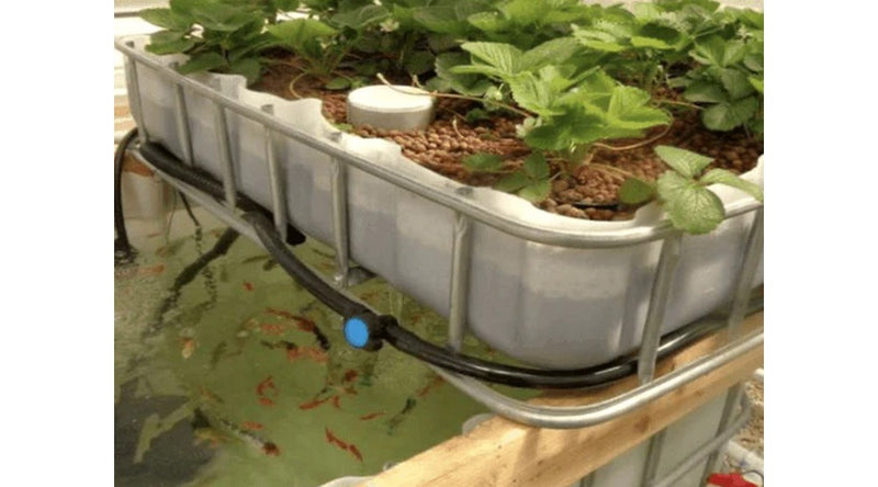Diy Aquaponic Gardening Creative Ways To Set Up Aquaponics Systems In