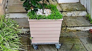 Raised Planter box in ‘Latte’ | WaterUps – waterups