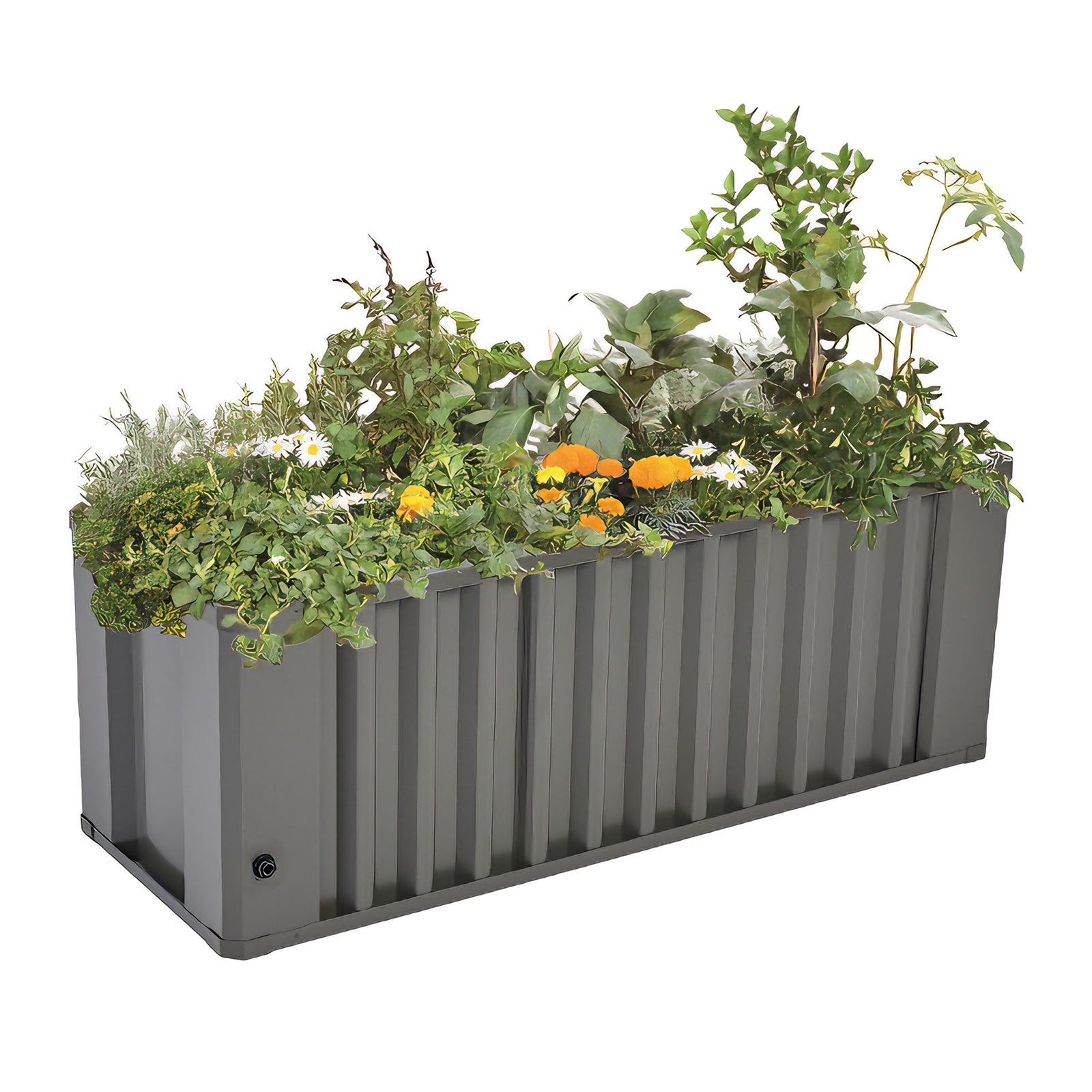 Self Watering Pots – waterups